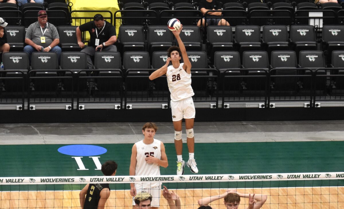 Best of the Best: 2024 Daily Herald All-Valley Boys Volleyball Team | News, Sports, Jobs - Daily ...